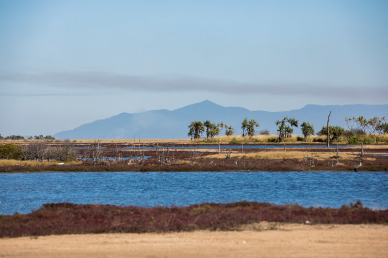 The Beauty of The Burdekin - Budd Photography