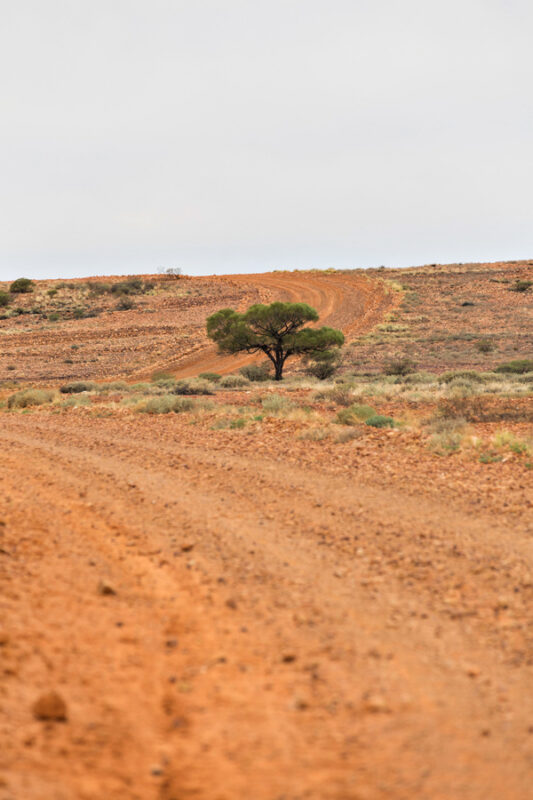 Simpson Desert Adventure - Part 2 - Mt Dare_Dalhousie Springs_Rig Road ...
