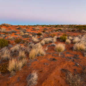 Simpson Desert Adventure - Part 2 - Mt Dare_Dalhousie Springs_Rig Road ...