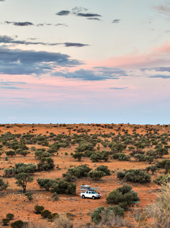 Simpson Desert Adventure - Part 3 - French Line_Salt Bush Flats_Poeppel ...