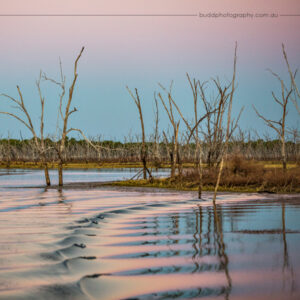 Zebra Rock Mine & Kimberley Wetland Safaris - Budd Photography