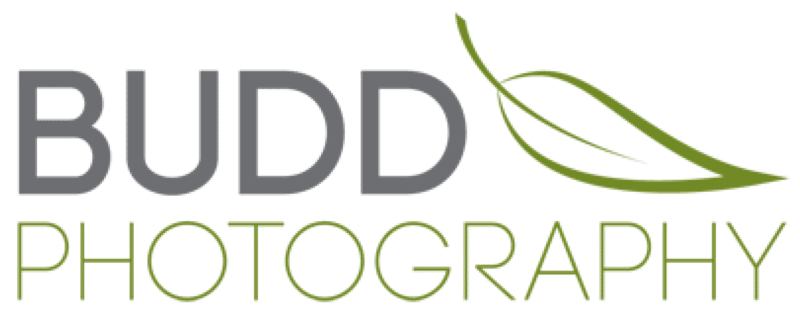 Simpson Desert Adventure - Part 3 - French Line_Salt Bush Flats_Poeppel ...